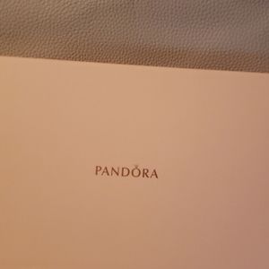 Pandora | Bags | Silver Pandora Purse Clutch Set | Poshmark